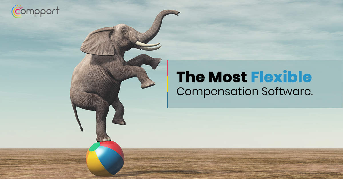 Compport Review - A Very Capable & Flexible Compensation Management ...
